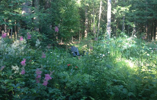 Roaring Branch Rental Cabins